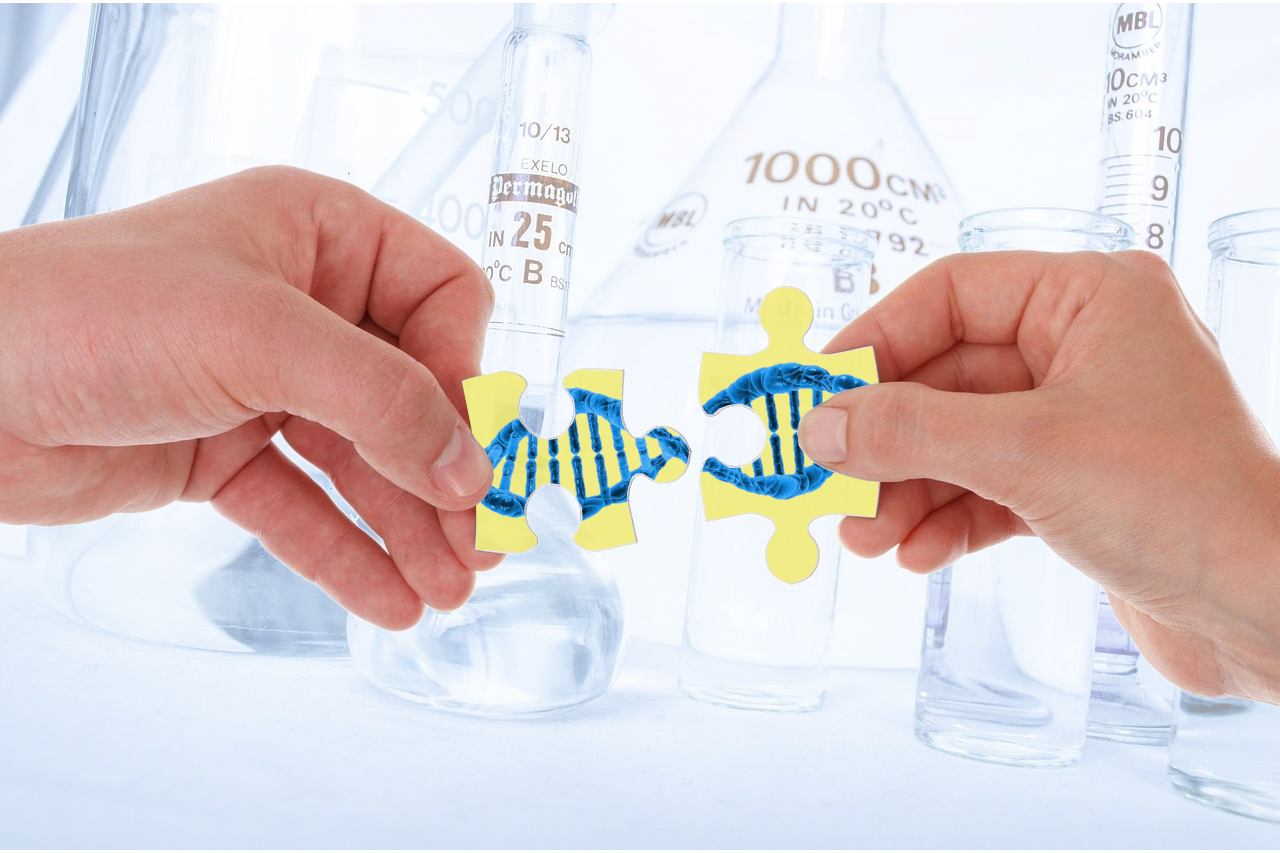 Neurogenetics: How Genetics Plays a Role in Neurodegenerative Diseases ...